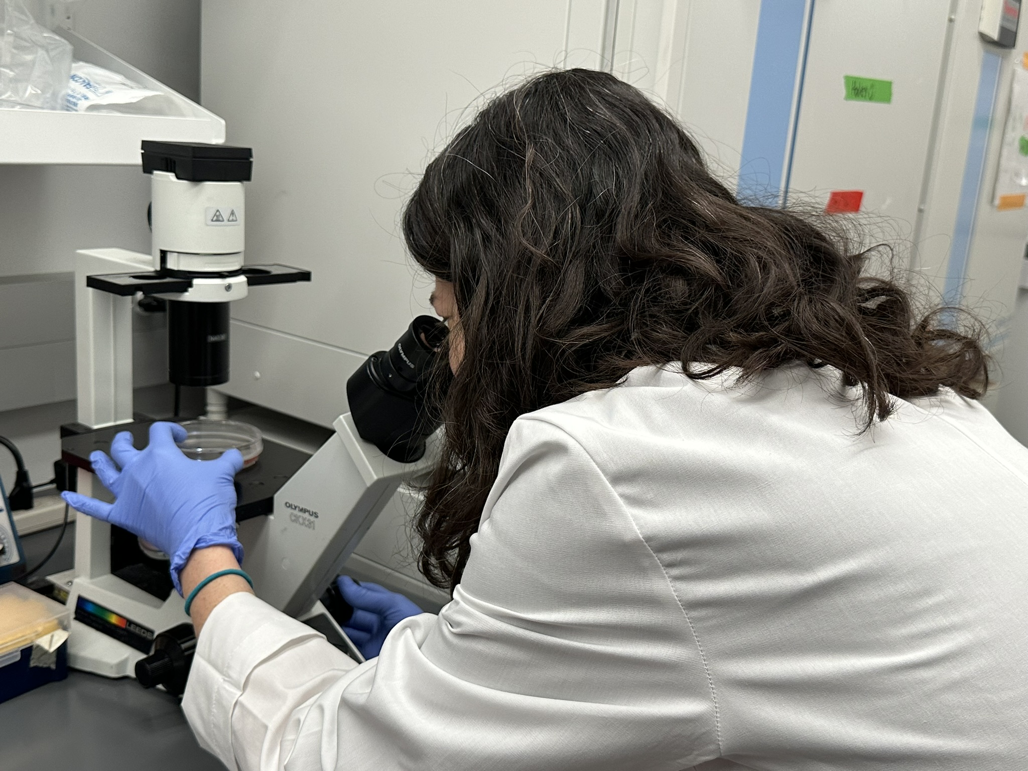 PBCC awards $200,000 to UPMC Breast Cancer Researchers - PA Breast ...